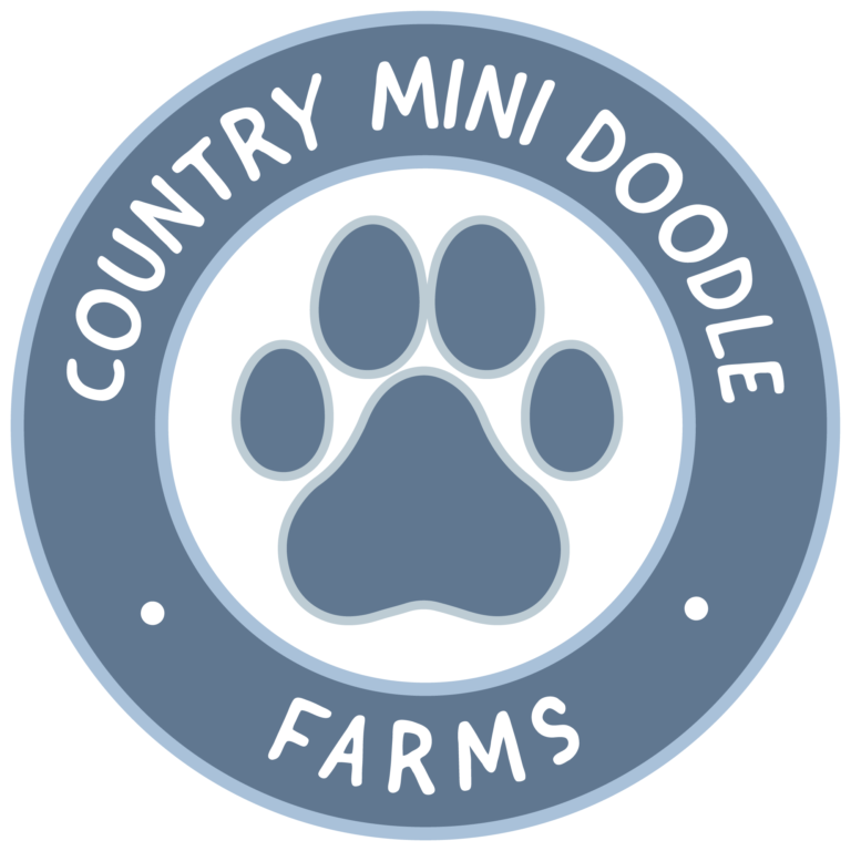 Country Mini Doodle Farms | Goldendoodles in Florida